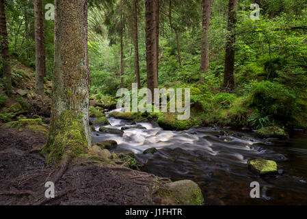 Beautiful walk beside a rocky stream at Wyming brook nature reserve ...