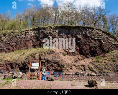 Volcanic crater wall, village Strohn, near Daun, Eifel, Germany Stock ...