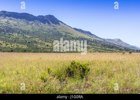 The veld or Veldt in South Africa Stock Photo - Alamy