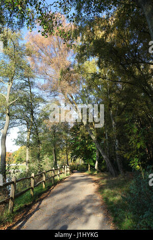 Autumn colours at Tilgate Forest, Park and Lake, nr Crawley, West ...