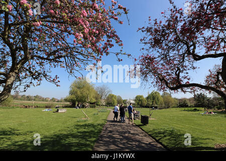 Phillips Memorial Park Godalming Surrey England Stock Photo - Alamy