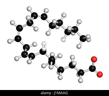 Dihomo-gamma-linolenic acid (DGLA) fatty acid molecule. Omega 6-fatty ...