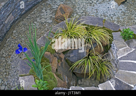 Ornamental gresses in a stone setting Stock Photo - Alamy
