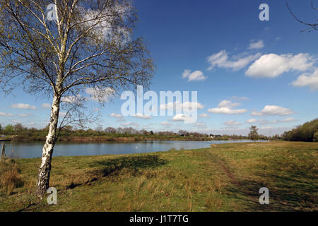 Papercourt Lake, Ripley, Surrey, England, UK Stock Photo - Alamy