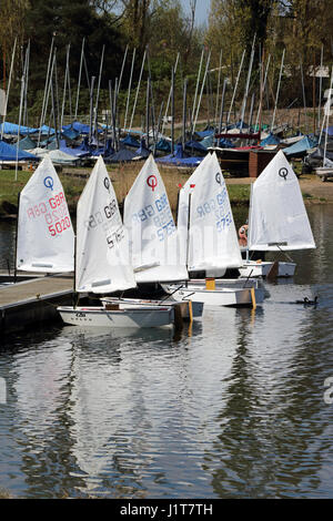 Papercourt Lake, Ripley, Surrey, England, UK Stock Photo - Alamy