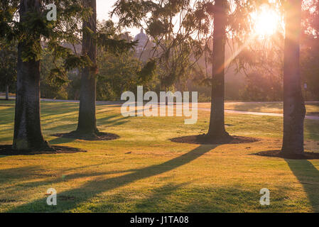 Sunrise in Balboa Park, San Diego Stock Photo - Alamy