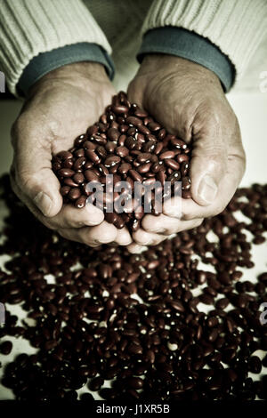 MAN 'S HANDS WITH HANDFUL OF RED KIDNEY BEANS Stock Photo - Alamy