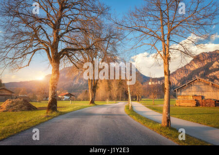 Mountain road with green trees and grass at sunset in Southern Vietnam ...
