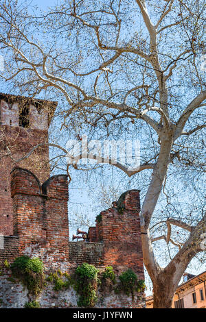 wall with m-shaped merlons of Castelvecchio Stock Photo - Alamy