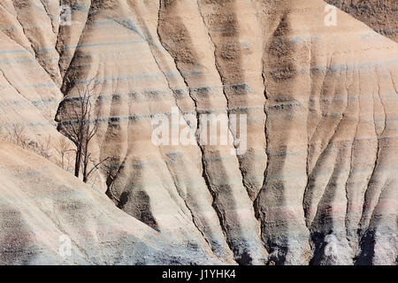 Le Ravin de Corboeuf, Rosieres, Haute Loire, France Stock Photo - Alamy