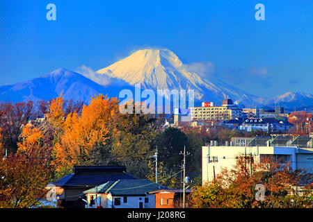 Mount Fuji and Cityscape of HIno View from Tama River Tachikawa Tokyo ...