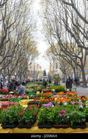 Beziers Flower Market, Allee Paul Riquet, Languedoc, France Stock Photo ...