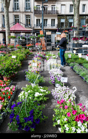 Beziers flower market in Languedoc, France Stock Photo - Alamy