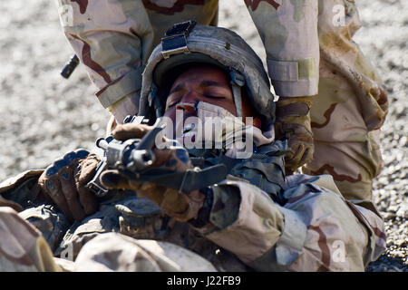 A Soldier assigned to the 95th Chemical Company, 17th Combat ...