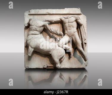 Metope III from the Parthenon marbles depicting part of the battle between the Centaurs and the ...