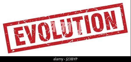 evolution stamp. evolution square grungy red sign Stock Vector Image ...