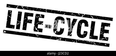 life-cycle stamp. life-cycle square grungy red sign Stock Vector Image ...