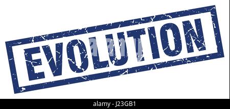 evolution stamp. evolution square grunge blue sign Stock Vector Image ...