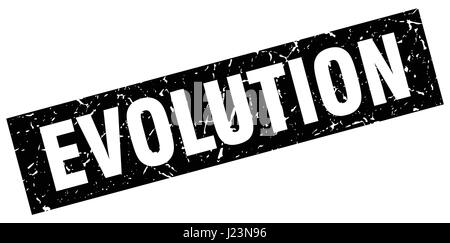 square grunge black evolution stamp Stock Vector Image & Art - Alamy