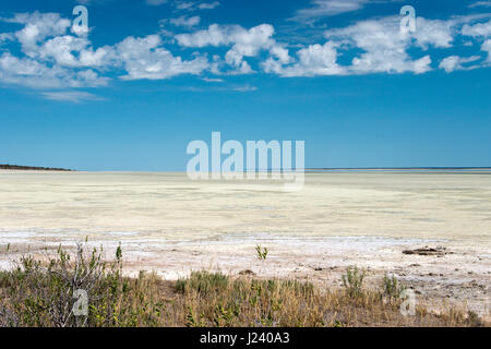The vast salt pan in Etosha National Park, Namibia Stock Photo - Alamy