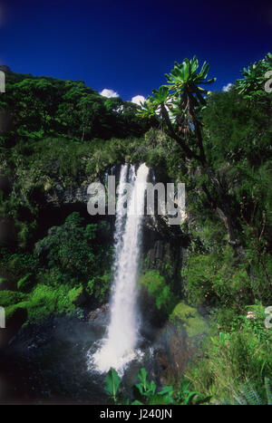Kenya, Aberdare National Park, Chania waterfalls Stock Photo - Alamy