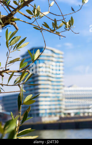 Marco Polo traveling Stock Photo - Alamy