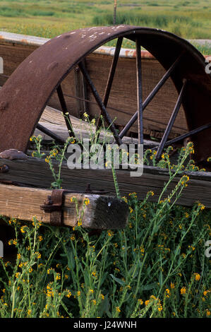 Traver Ranch farm equipment display, Carrizo Plain National Monument ...