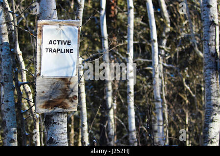 Active Trapline Sign in the Forest Stock Photo - Alamy