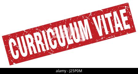 Curriculum Vitae red stamp CV job application green badge interview ...