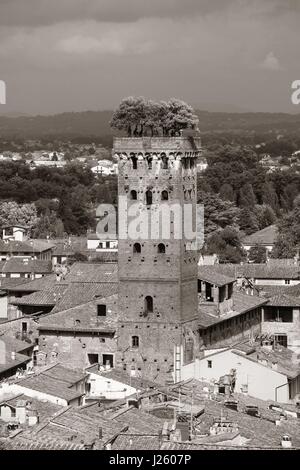 Guinigi tower in Lucca, Italy, with trees on the top, 44 meters tall ...