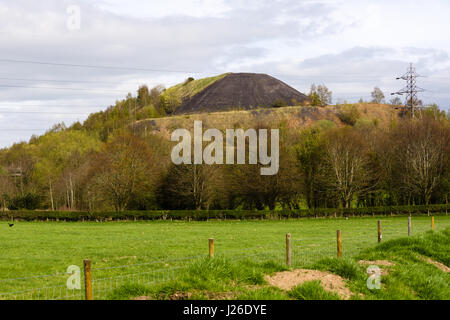 Bersham Colliery Spoil Tip the coal mine was opened in 1874 and closed ...