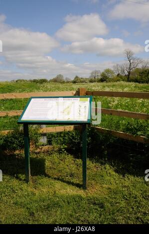 Maulden Church Meadows. Maulden, Bedfordshire, Meadow which is ...