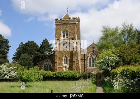 St Mary the Virgin Church. Maulden, Bedfordshire, was mainly rebuilt in ...