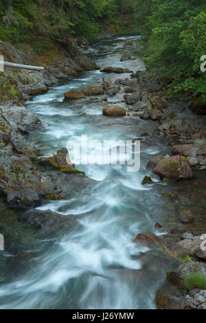 North Fork of the Middle Fork Willamette Wild and Scenic River ...