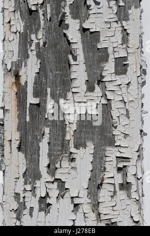 White paint chipping from an old style house Stock Photo - Alamy