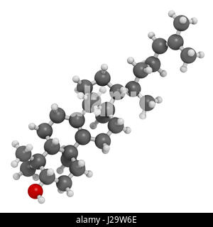 Lanosterol molecule. Investigated for treatment of cataract. Skeletal ...