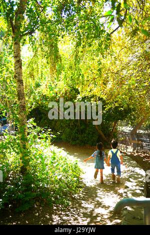 Girl running around tree Stock Photo - Alamy
