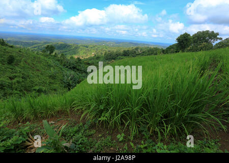 Jhum cultivation on the top of the hills in Bandarban, Bangladesh Stock ...