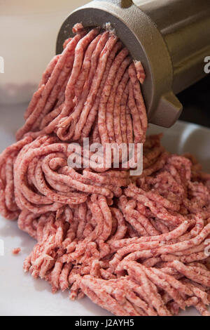 The meat in the Grinder. the meat industry. Minced meat being extruded ...