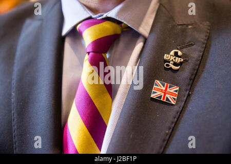 Detail of UKIP tie,badge and jacket Stock Photo - Alamy