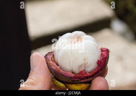 Indonesia, Sulawesi Utara, Kota Tomohon, crater with sulfur of the ...