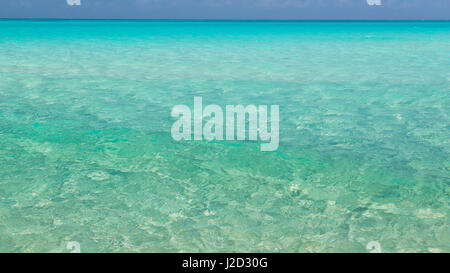 Bahamas, Exuma Island. Seascape of Shroud Cay. Credit as: Don Paulson ...