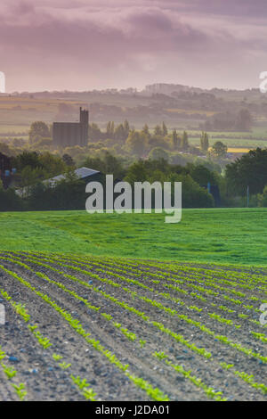 Denmark, Mon, Borre, elevated village view Stock Photo - Alamy