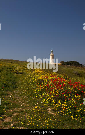 Spring flowers and the lighthouse on Paphos Headland, Cyprus Stock ...