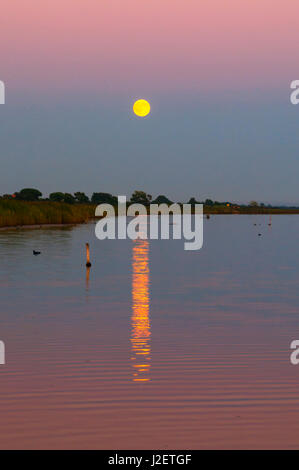 The WWF Oasis of Lake Burano, Capalbio, Tuscany, Grosseto Province ...