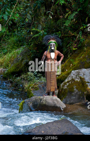Colorfully dressed local tribal chief in the Highlands of Papua New ...