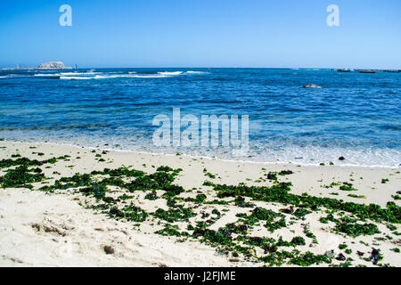 Wide view of seashore in Algarrobo Chile Stock Photo - Alamy