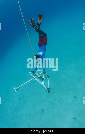 BRUV (Baited remote underwater video) monitoring research of large ...