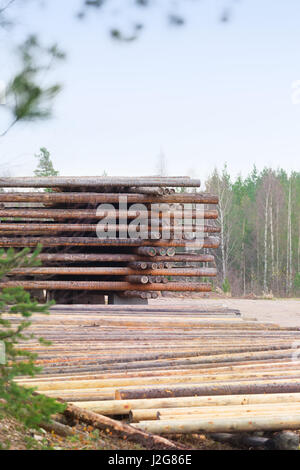Deforestation forests to build new houses from trees Stock Photo - Alamy