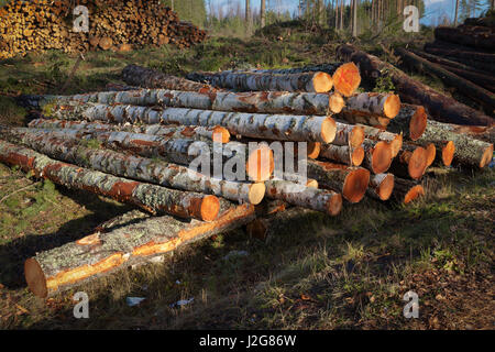 deforestation forests before building new city region Stock Photo - Alamy